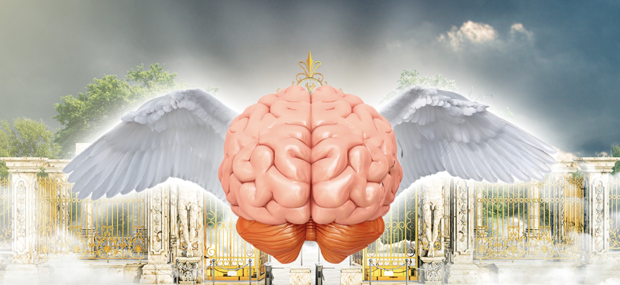 Your Brain is Jesus and Your Guardian Angel – Much Love, Deb Poems ...