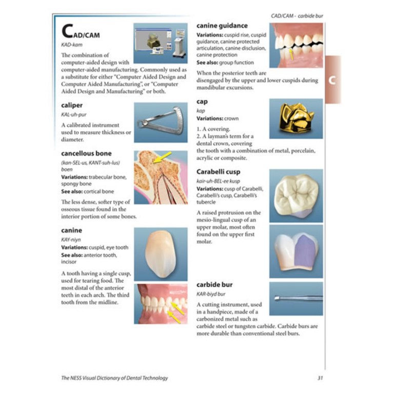 The Bravery – Much Love, Deb Poems ~ Fresh & Thought~Provoking